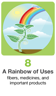 ASPB | The 12 Principles of Plant Biology | ASPB