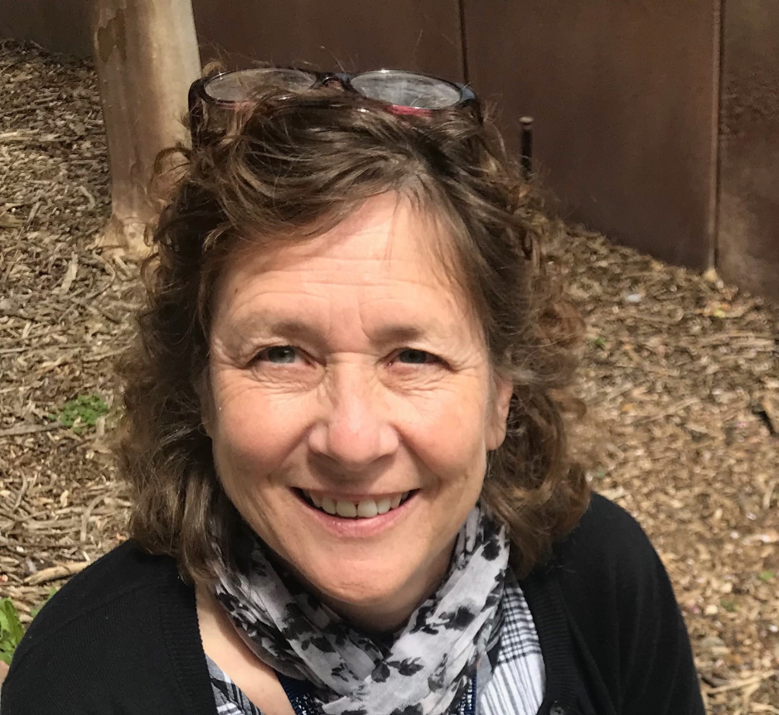 Pioneer Judy Callis | American Society of Plant Biologists
